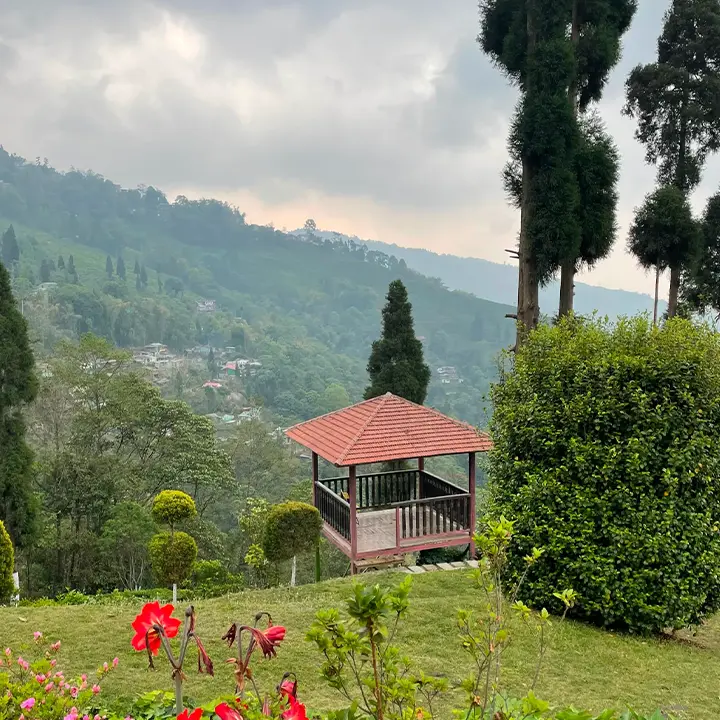 Chamong Resort | Luxury Tea Garden Retreat in Darjeeling, India